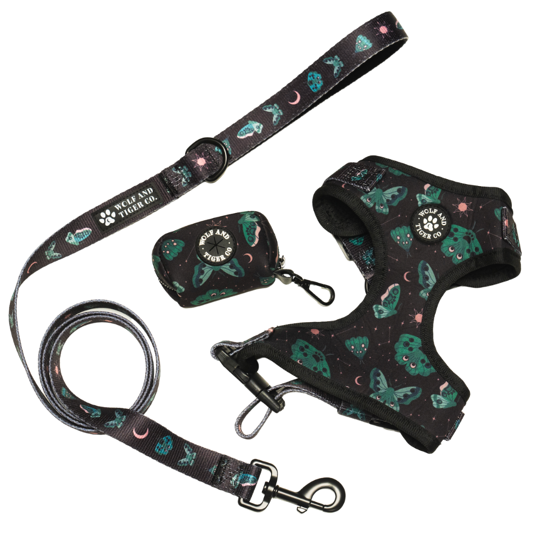 Mystical Moth Bundle – Wolf&TigerCo.